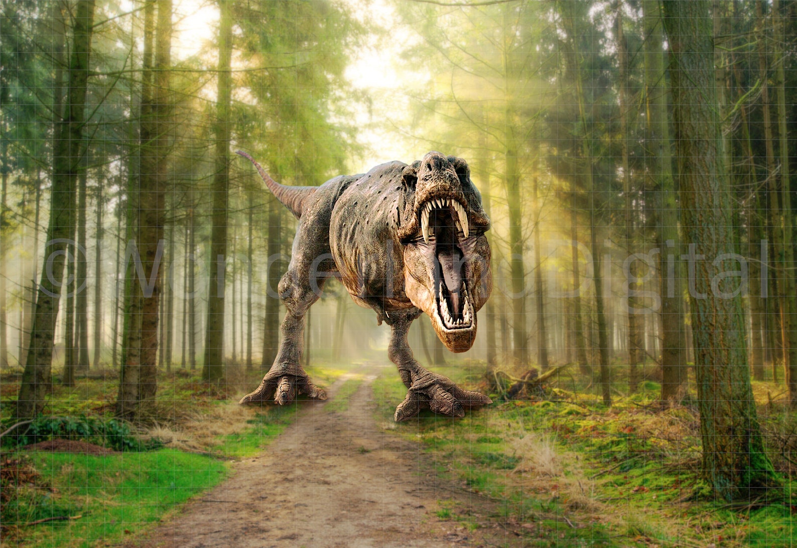 Dinosaur Digital Backdrop/background - Etsy Canada