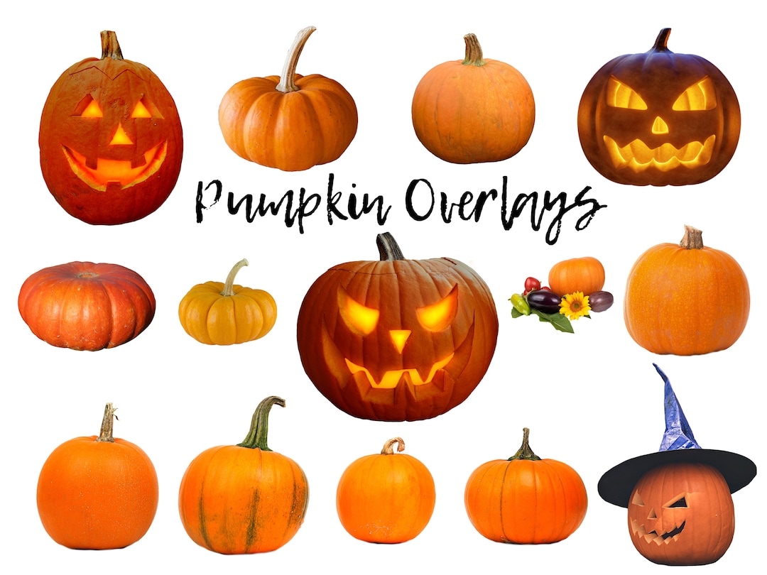 Halloween Overlays, Pumpkin Overlays, Jack-o-lantern Overlays, Fall ...