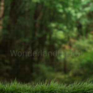 Forest Digital Backdrop/background With Grass Overlay - Etsy