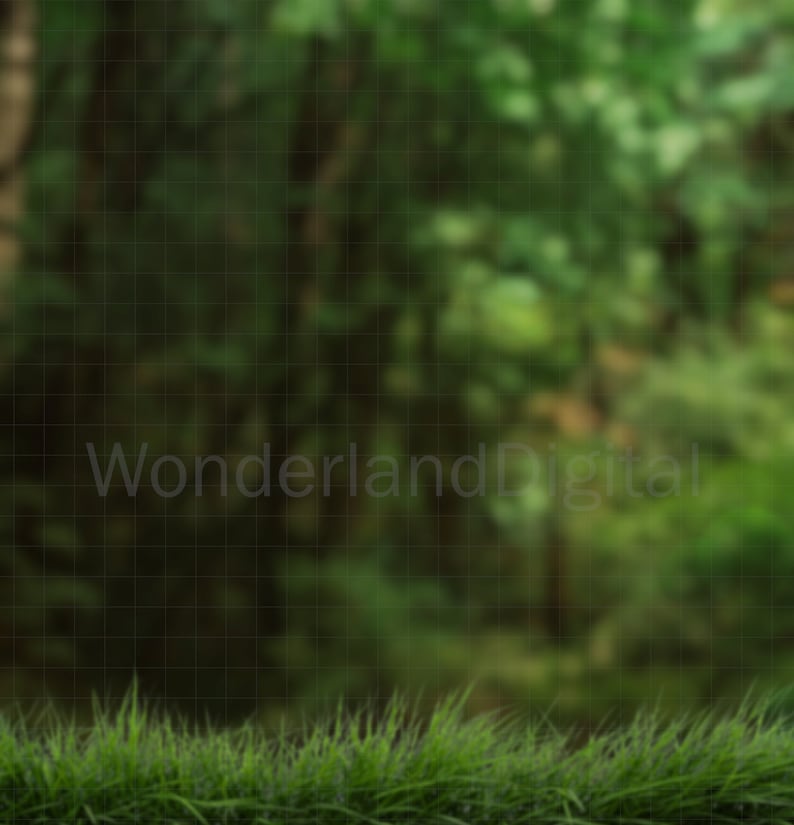 Forest Digital Backdrop/background With Grass Overlay - Etsy