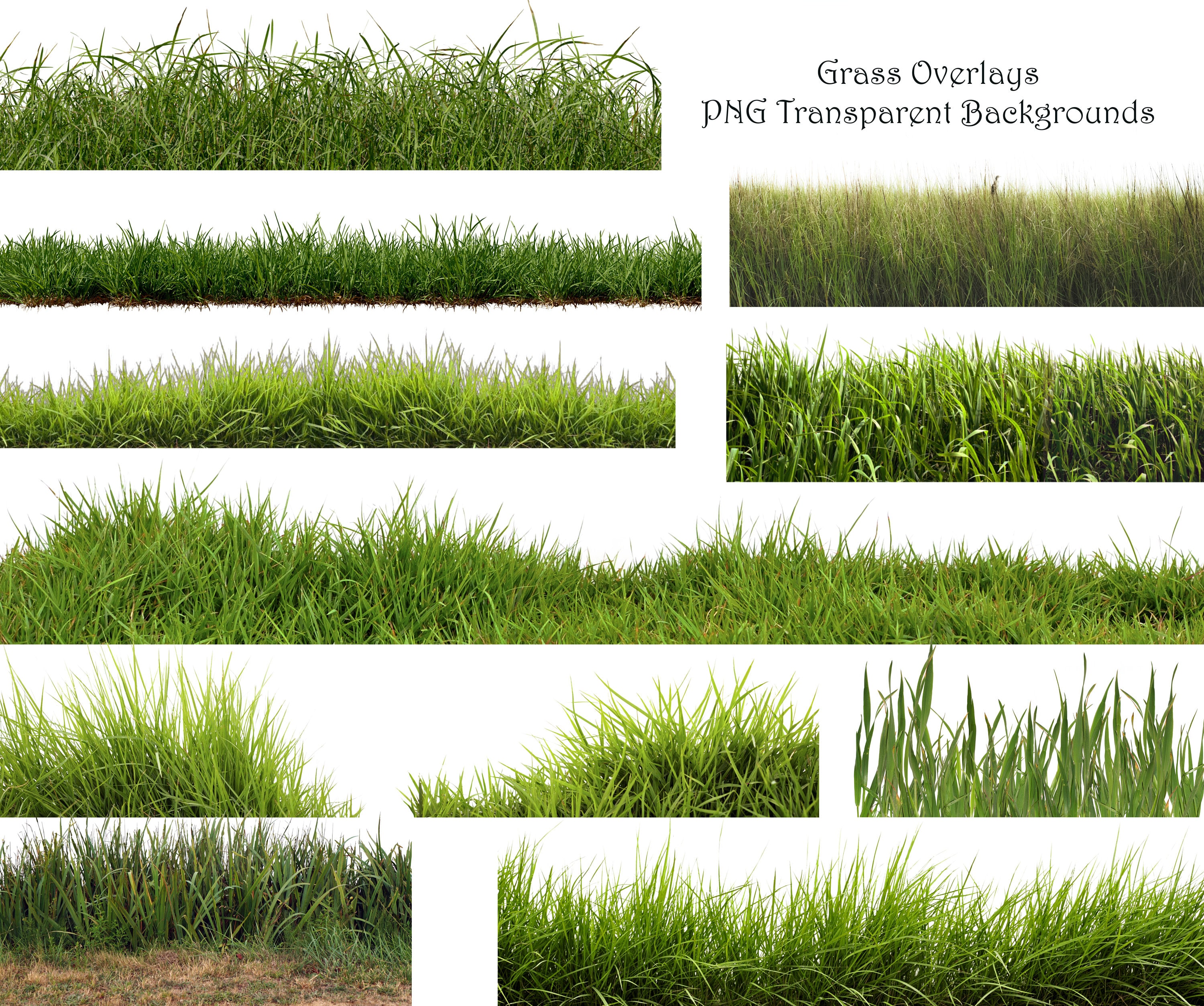 Flower Foreground Overlays - Etsy