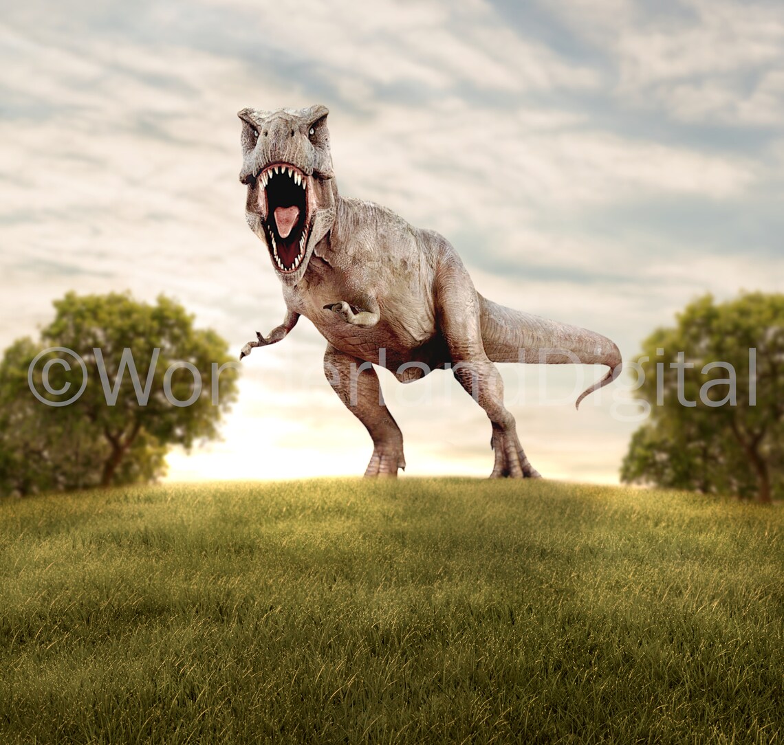T-rex Dinosaur Digital Backdrop/background - Etsy