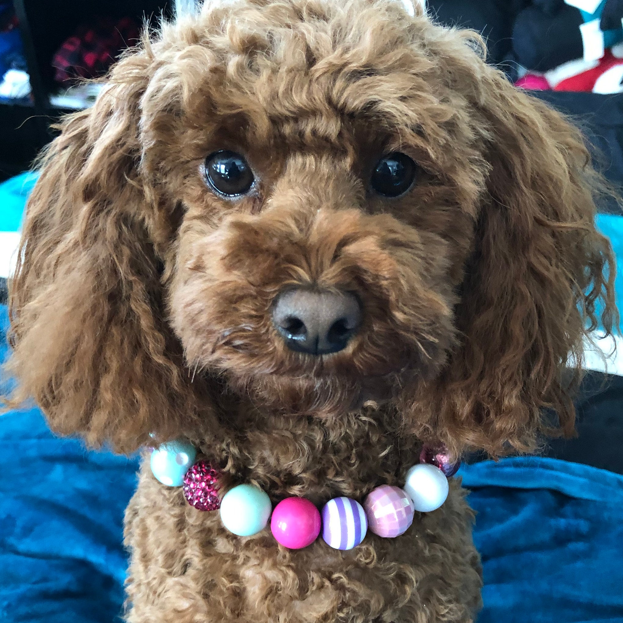 Customized peppermint Patty Pet Necklace - Etsy