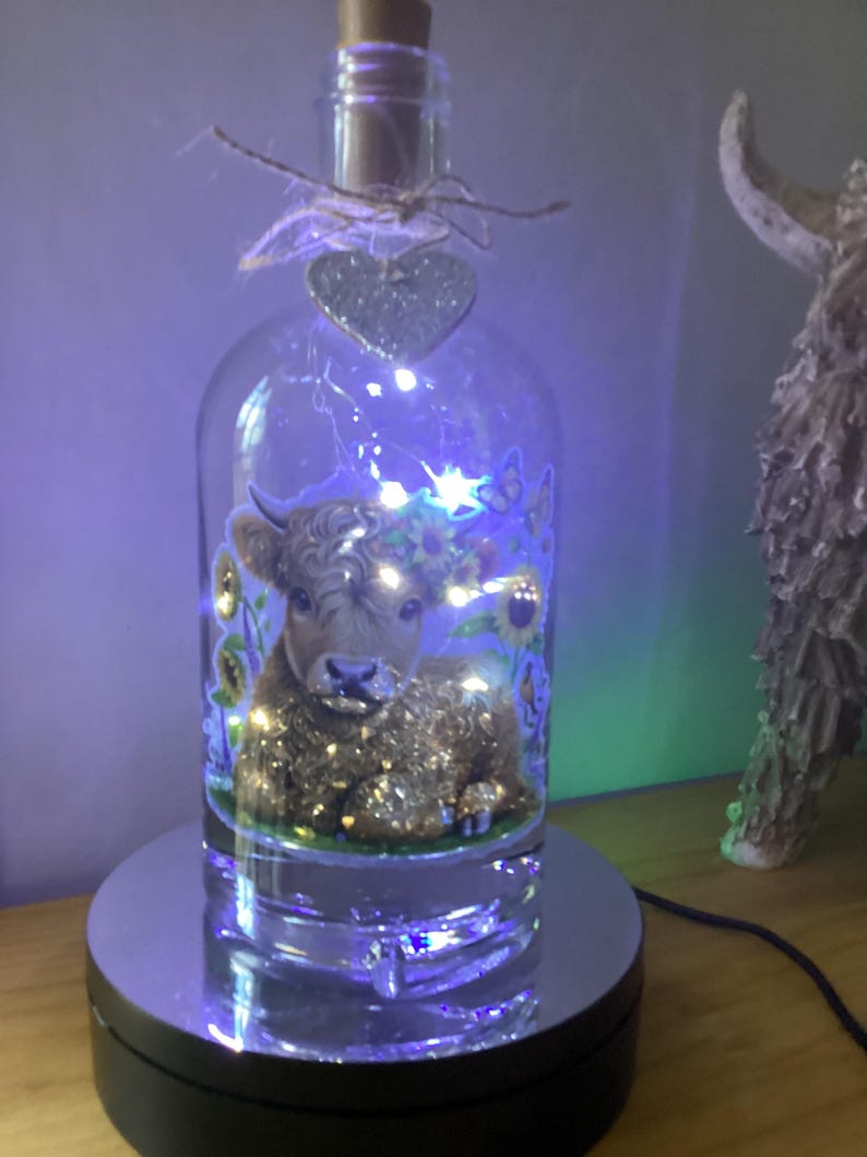 Highland Cow Light up Bottle, Bottle Lamp With Gift Messaging Service ...