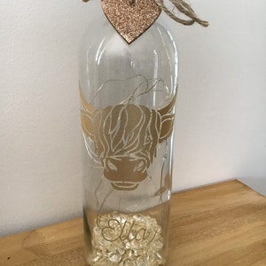 Shimmer Highland Cow Light up Bottle Many Colours Birthday - Etsy UK