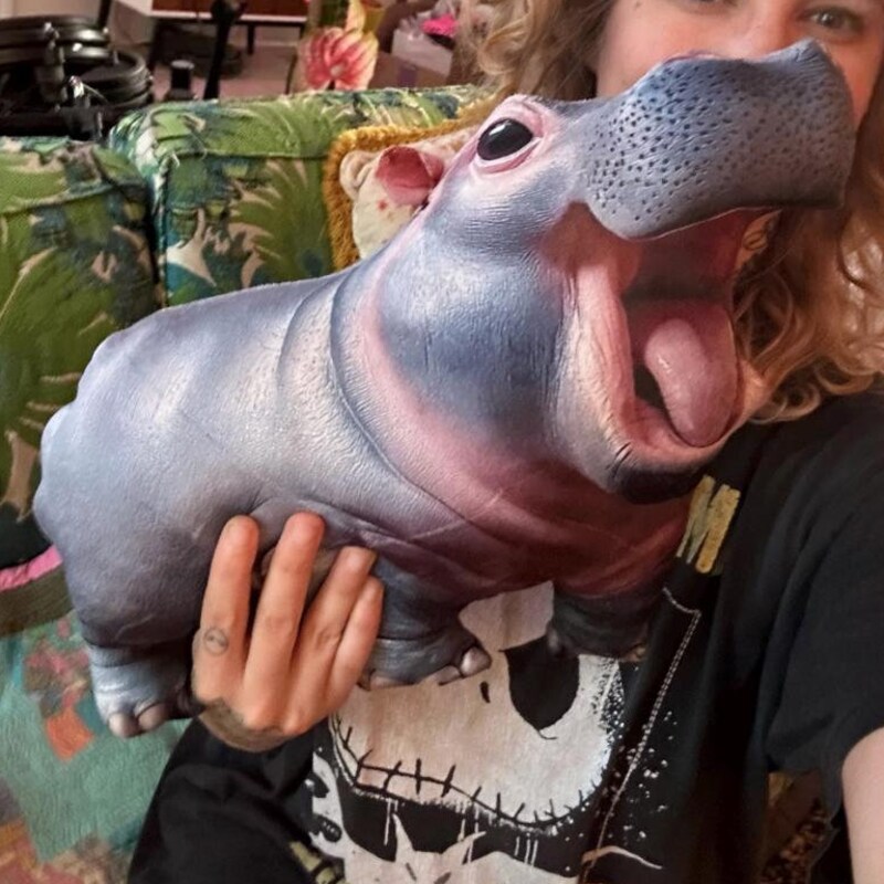 Moo Deng Plush - Etsy