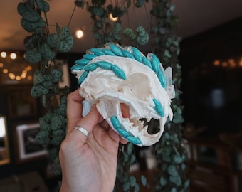 Lynx Skull - Etsy