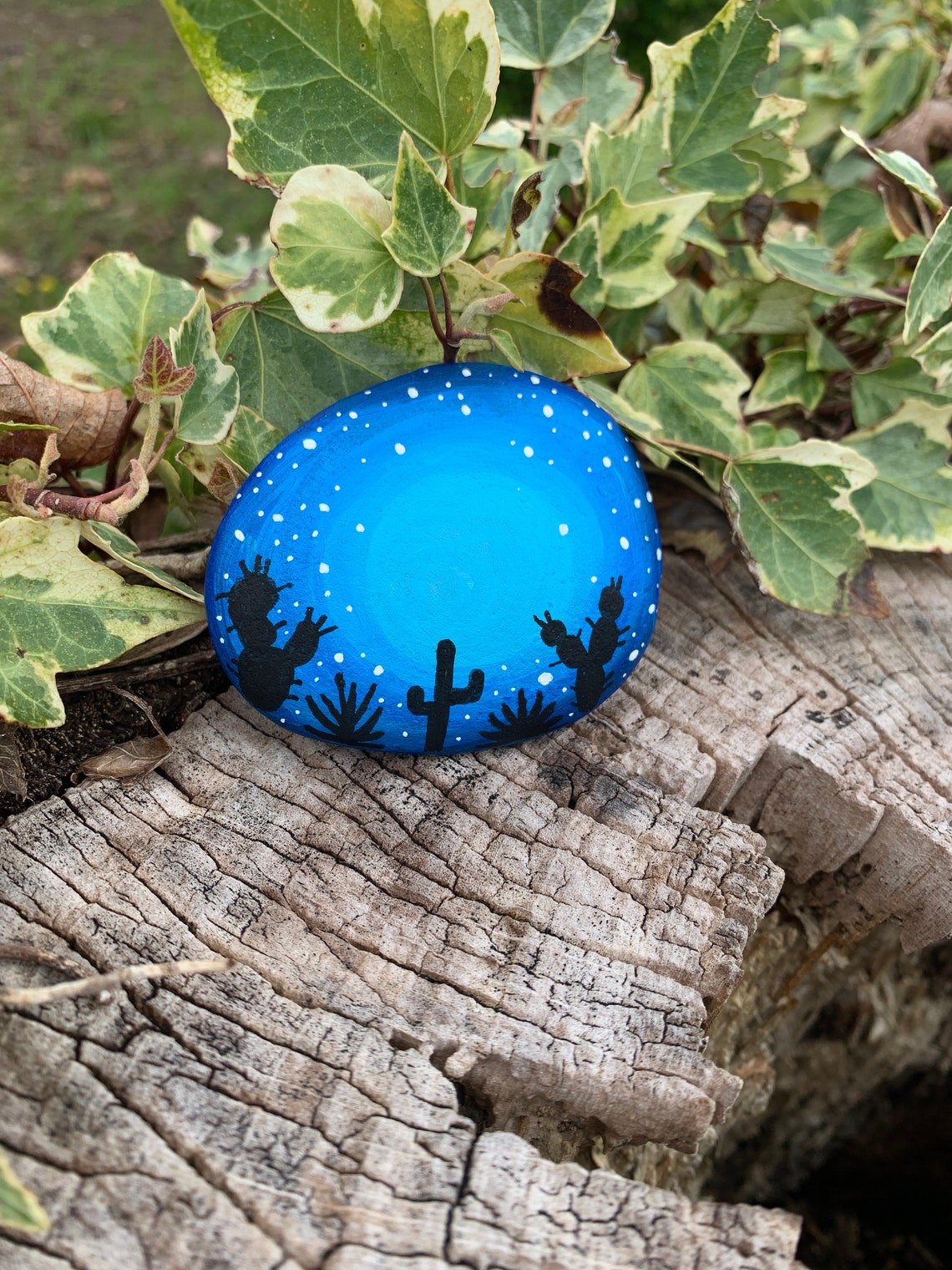 Desert Rock Painted Desert Desert Painting Rock Painting - Etsy