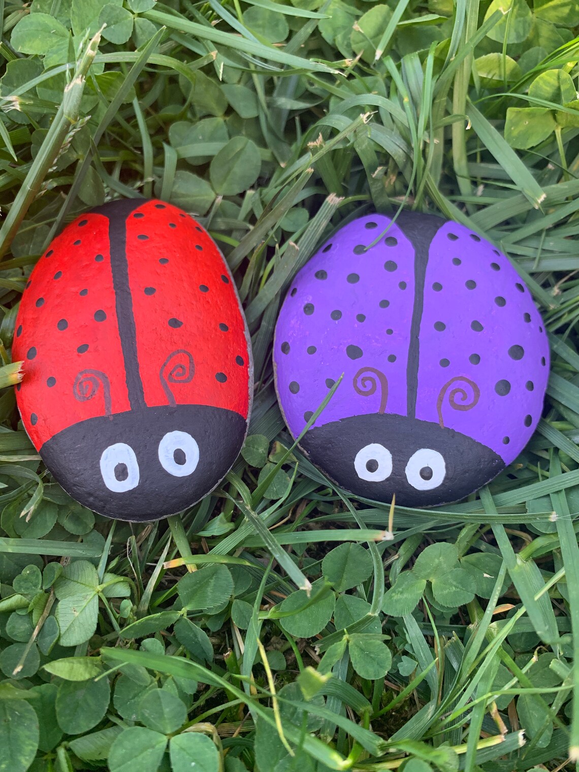 Ladybug Rocks , Paint Your Own Ladybug Rock, Ladybug Rock Set , Rock ...