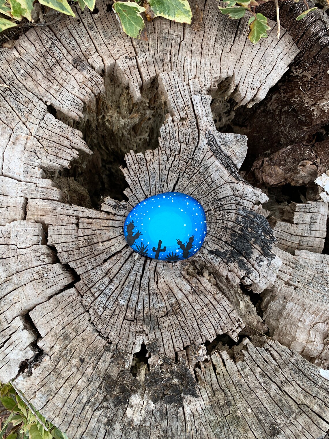 Desert Rock Painted Desert Desert Painting Rock Painting - Etsy