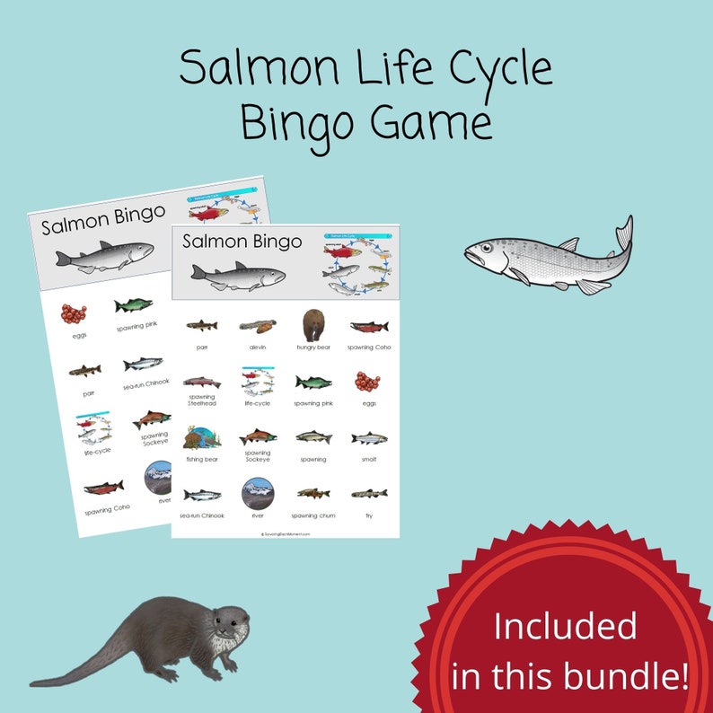 Salmon Life Cycle Unit Learning Bundle, Science Printables, Homeschool ...