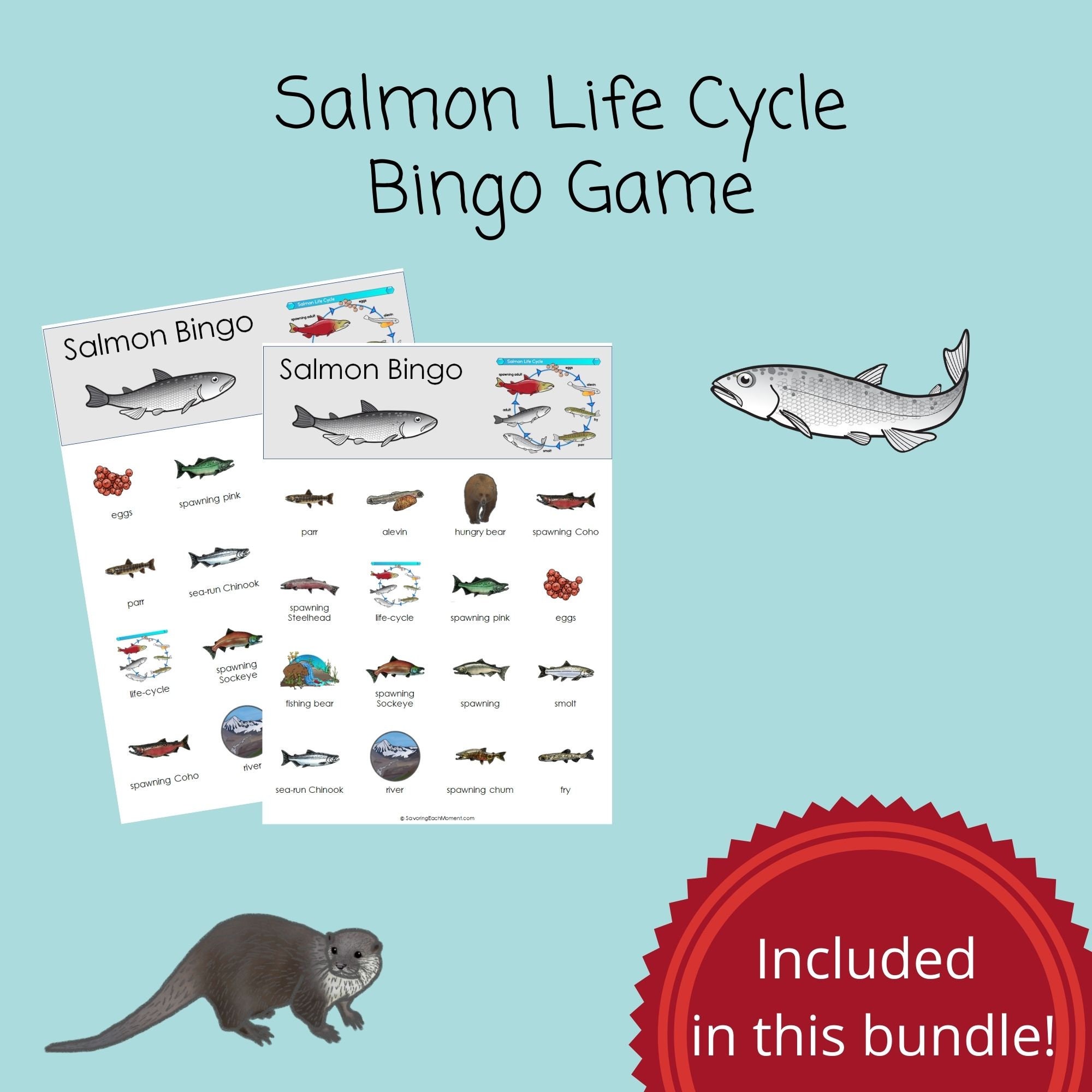 Salmon Life Cycle Unit Learning Bundle Science Printables - Etsy