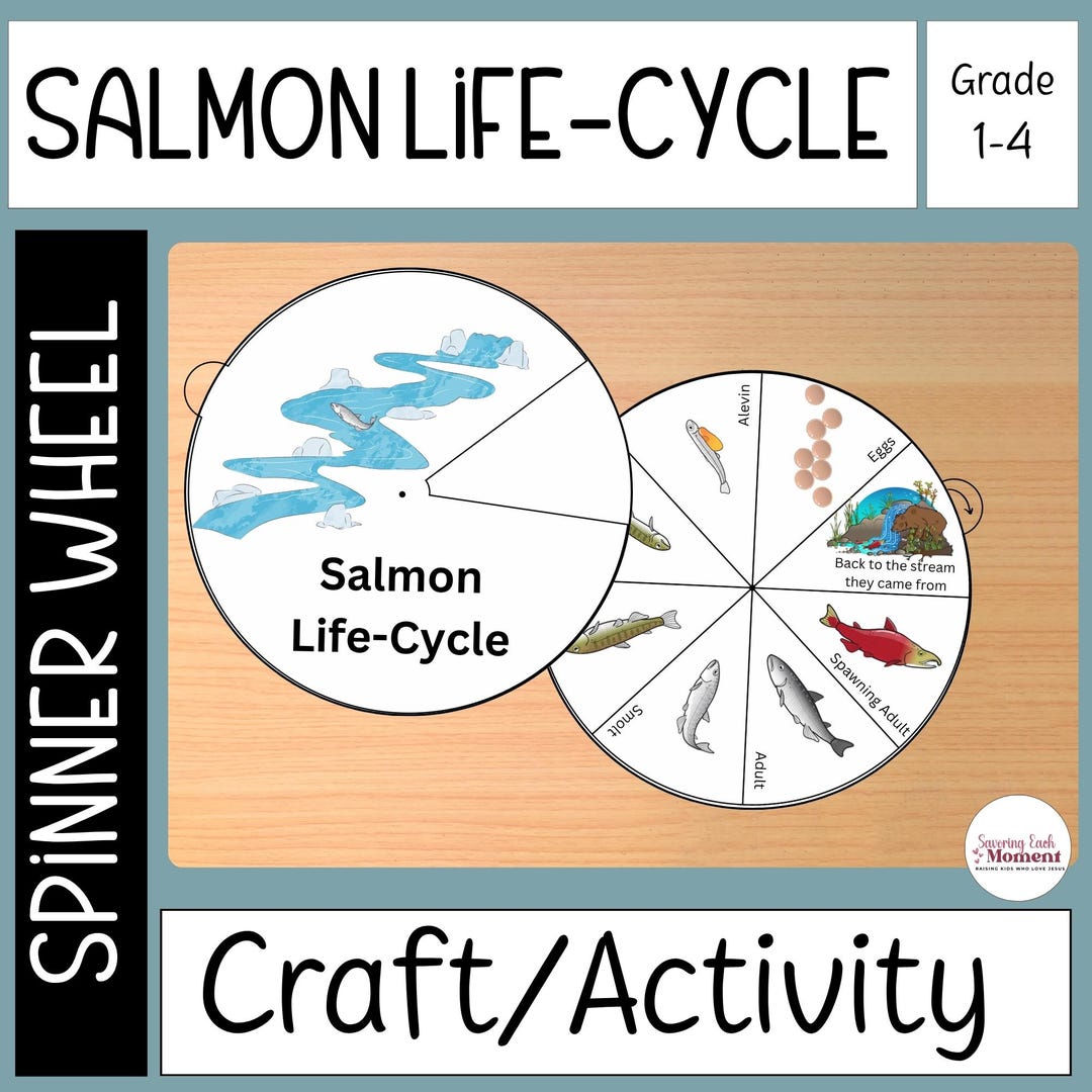 Salmon Life Cycle Spinner Wheel Craft, Homeschool Science, Salmon Unit ...