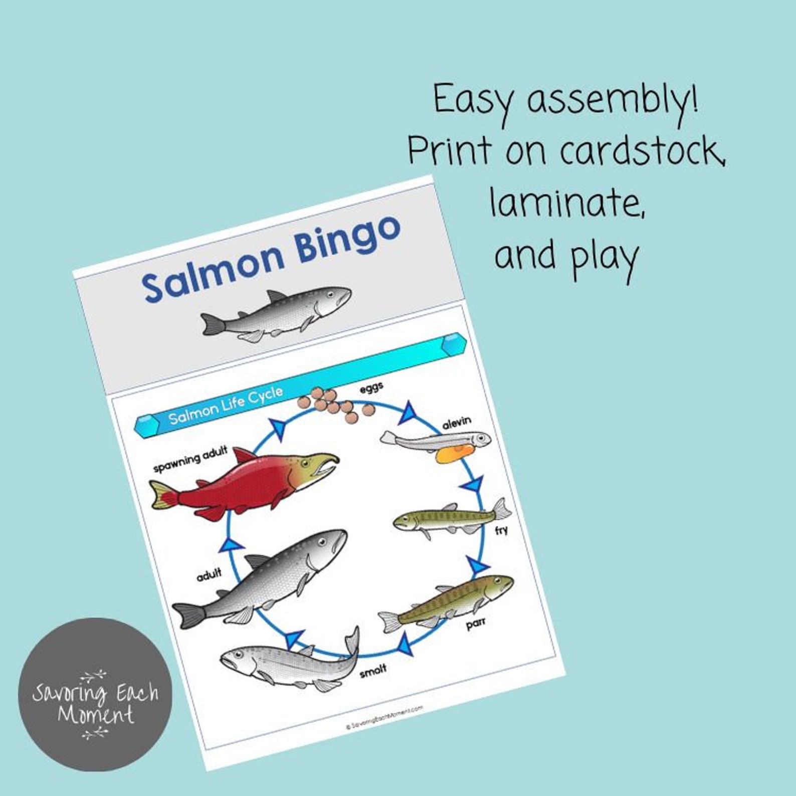 Salmon Life Cycle Bingo, Fish Game, Nature Bingo, Printable Games for ...