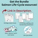 Salmon Life Cycle Game, Science Game, Kids Card Games, Printable Games ...