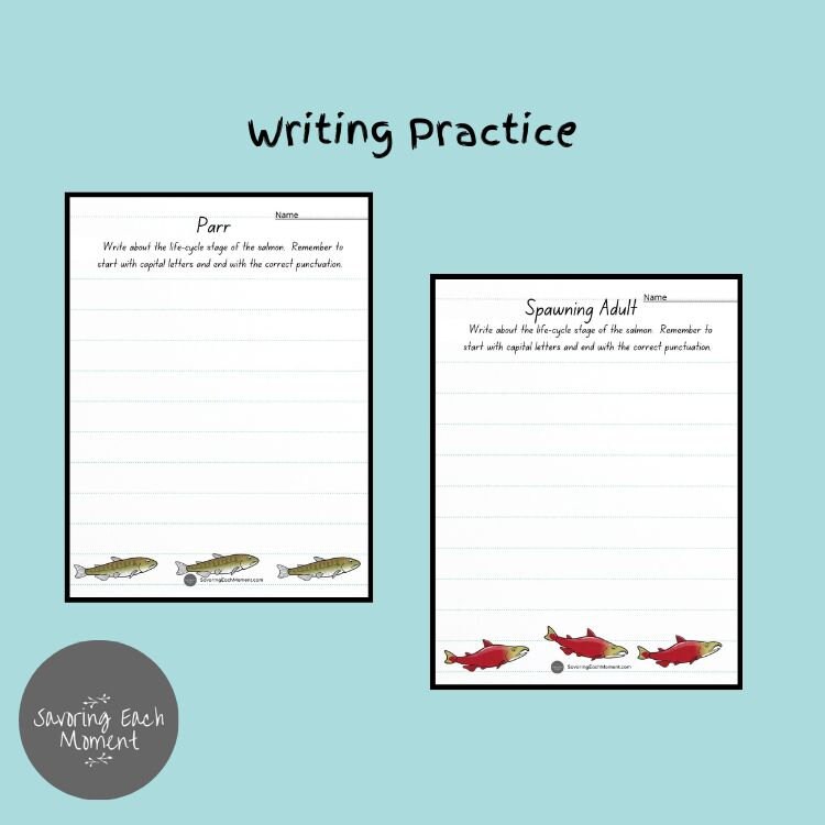 Salmon Life Cycle Writing Worksheets, Science Worksheets, Handwriting ...