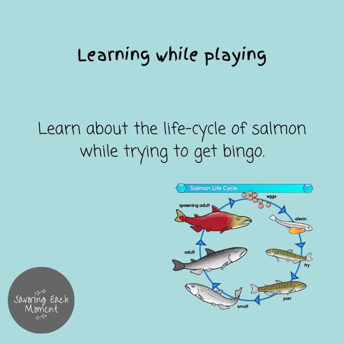 Salmon Life Cycle Bingo, Fish Game, Nature Bingo, Printable Games for ...