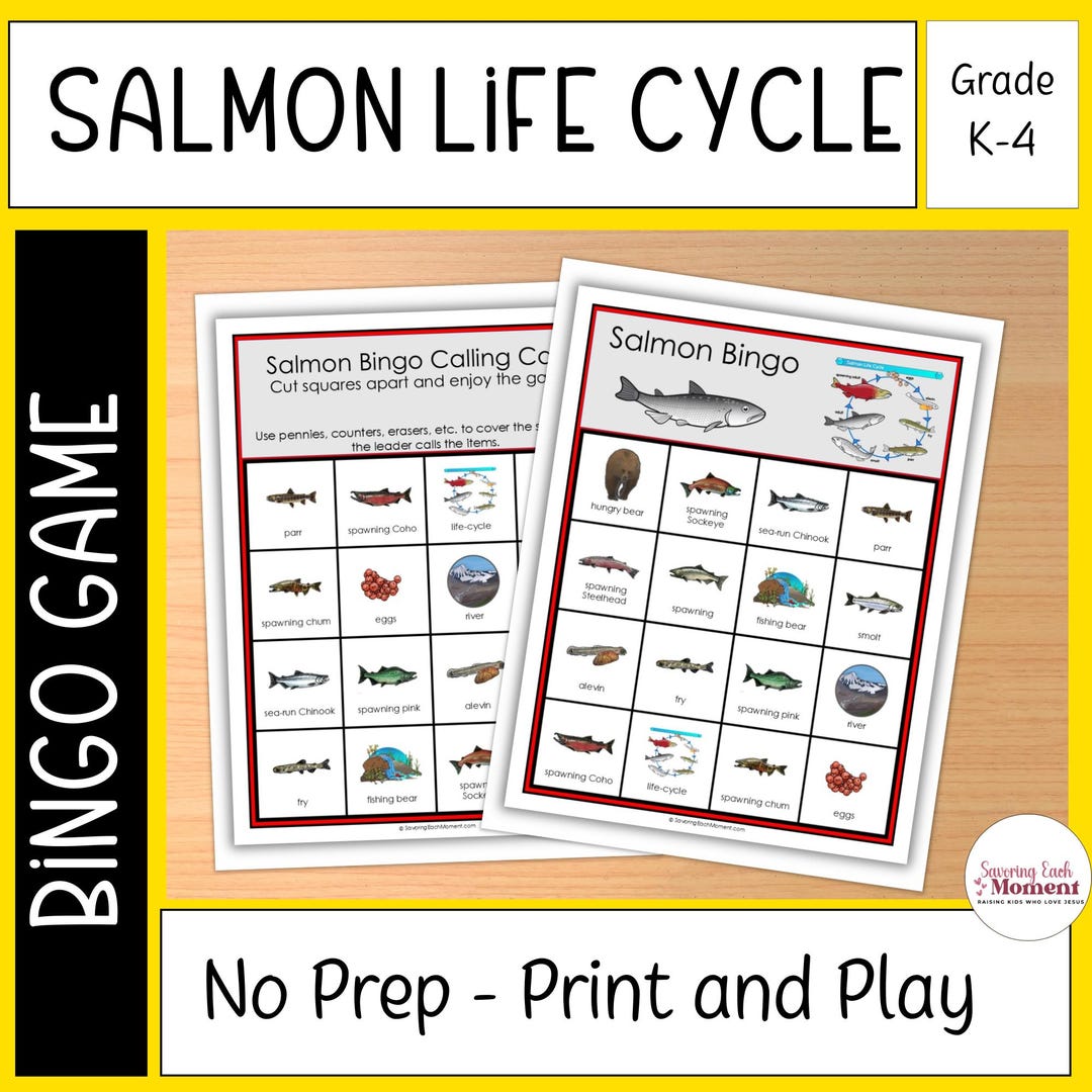 Life Cycle Bingo, Fish Game, Nature Bingo Cards, Printable Games for ...