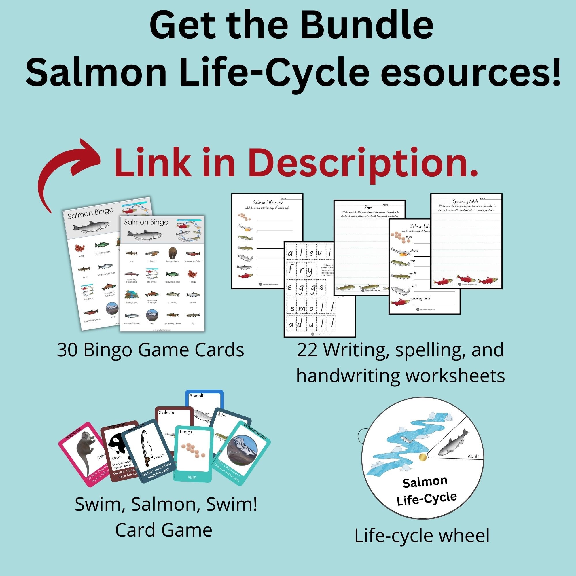 Salmon Life Cycle Wheel, Life Cycle of a Salmon, Fish Life Cycle Study ...