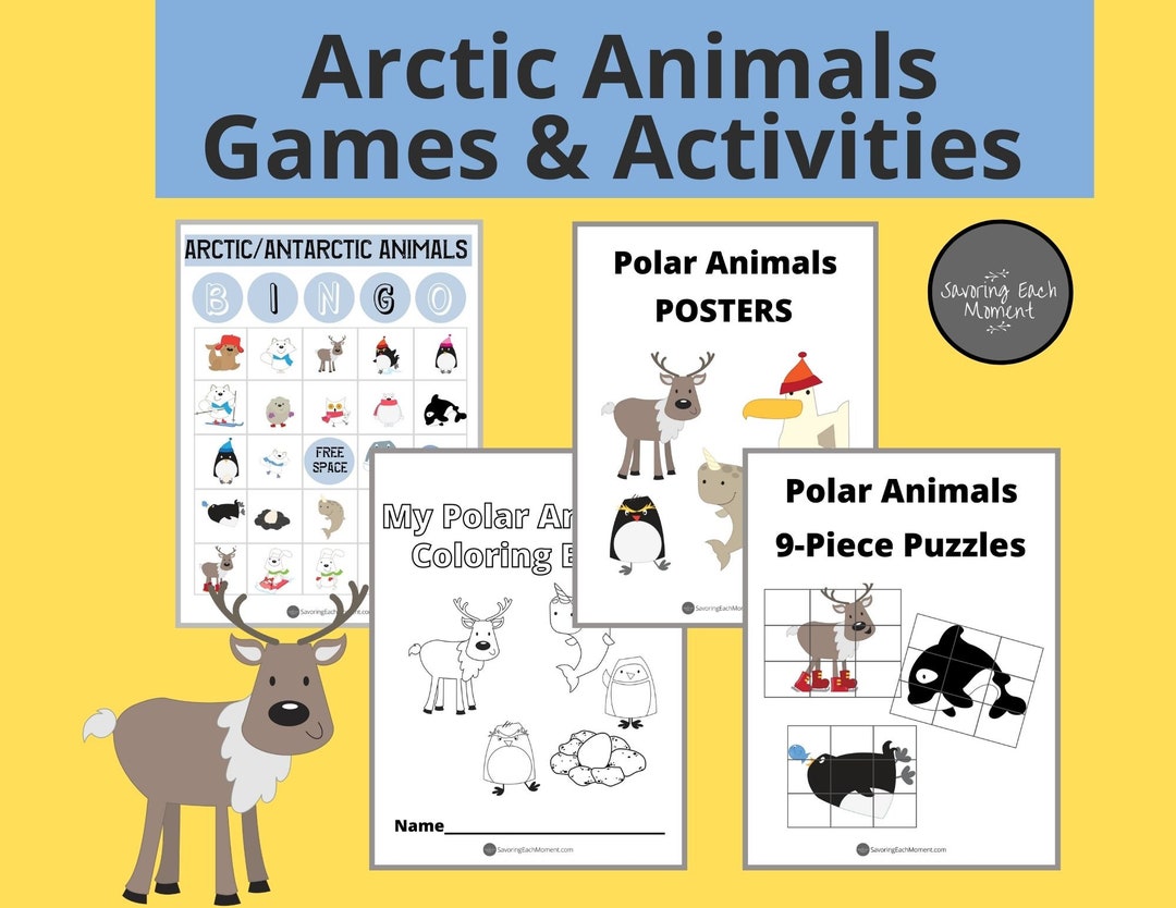 Preschool Activities, Arctic Animals, Preschool Coloring Pages ...