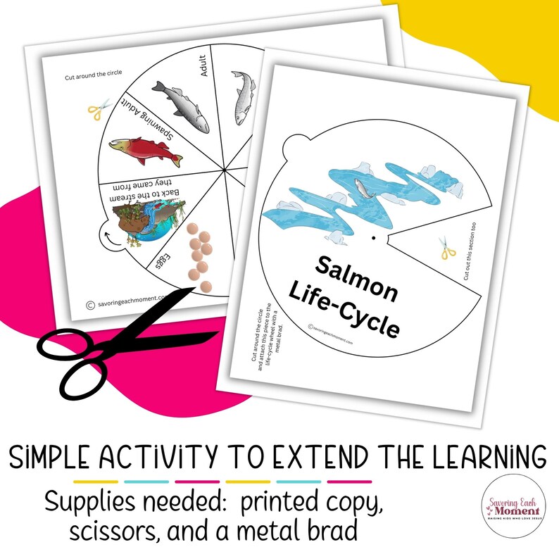 Salmon Life Cycle Spinner Wheel Craft, Homeschool Science, Salmon Unit ...