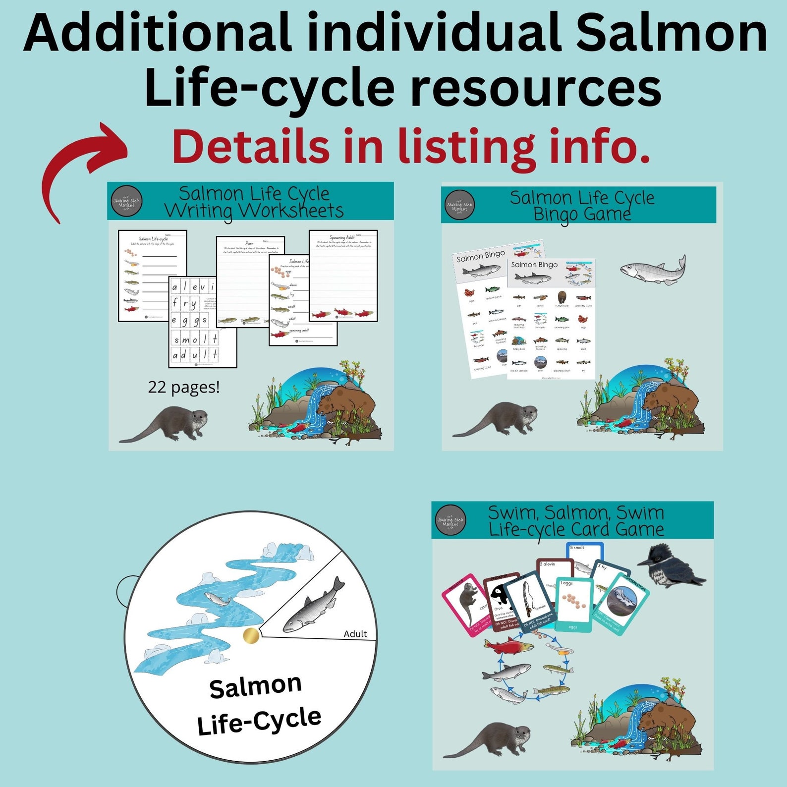 Salmon Life Cycle Wheel, Life Cycle of a Salmon, Fish Life Cycle Study ...