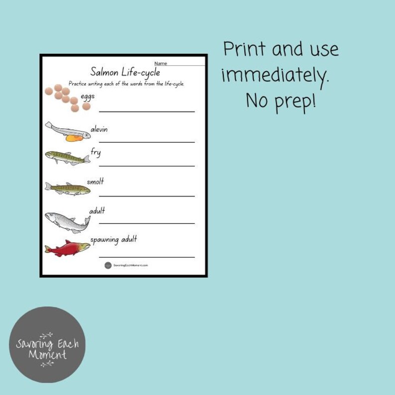 Salmon Life Cycle Writing Worksheets, Science Worksheets, Handwriting ...
