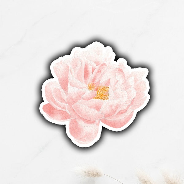 Peony Sticker - Etsy