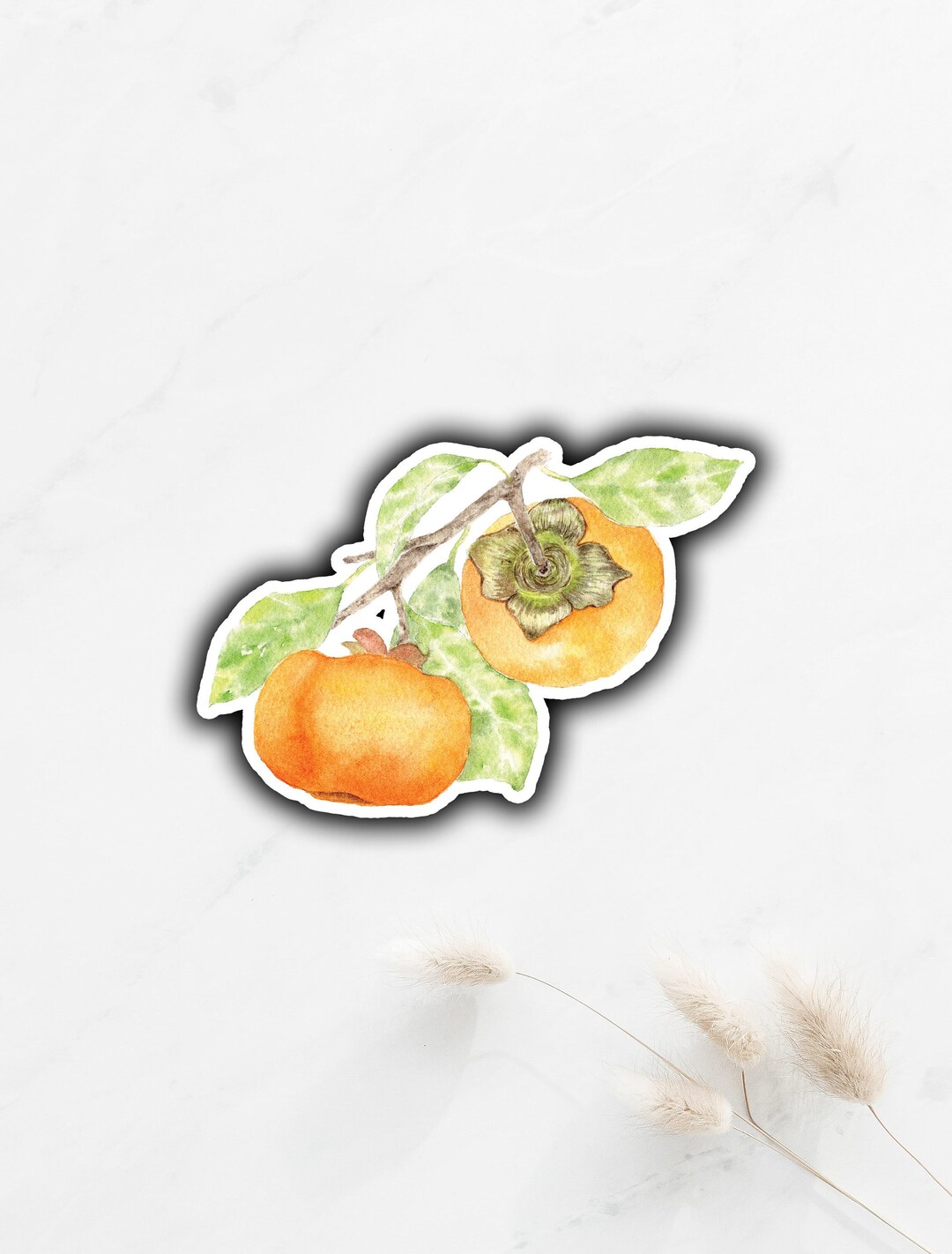 Persimmon Sticker, Persimmon Vinyl Sticker, Fruit Sticker, Fall Nature ...