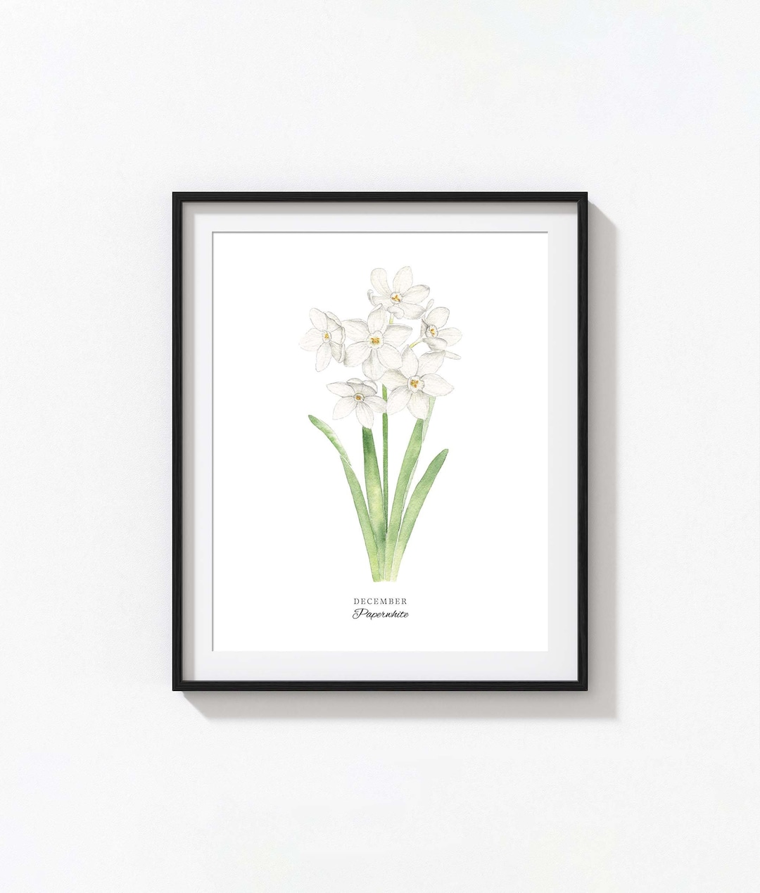 Paperwhite Narcissus Art Print, Personalized December Birth Flower ...