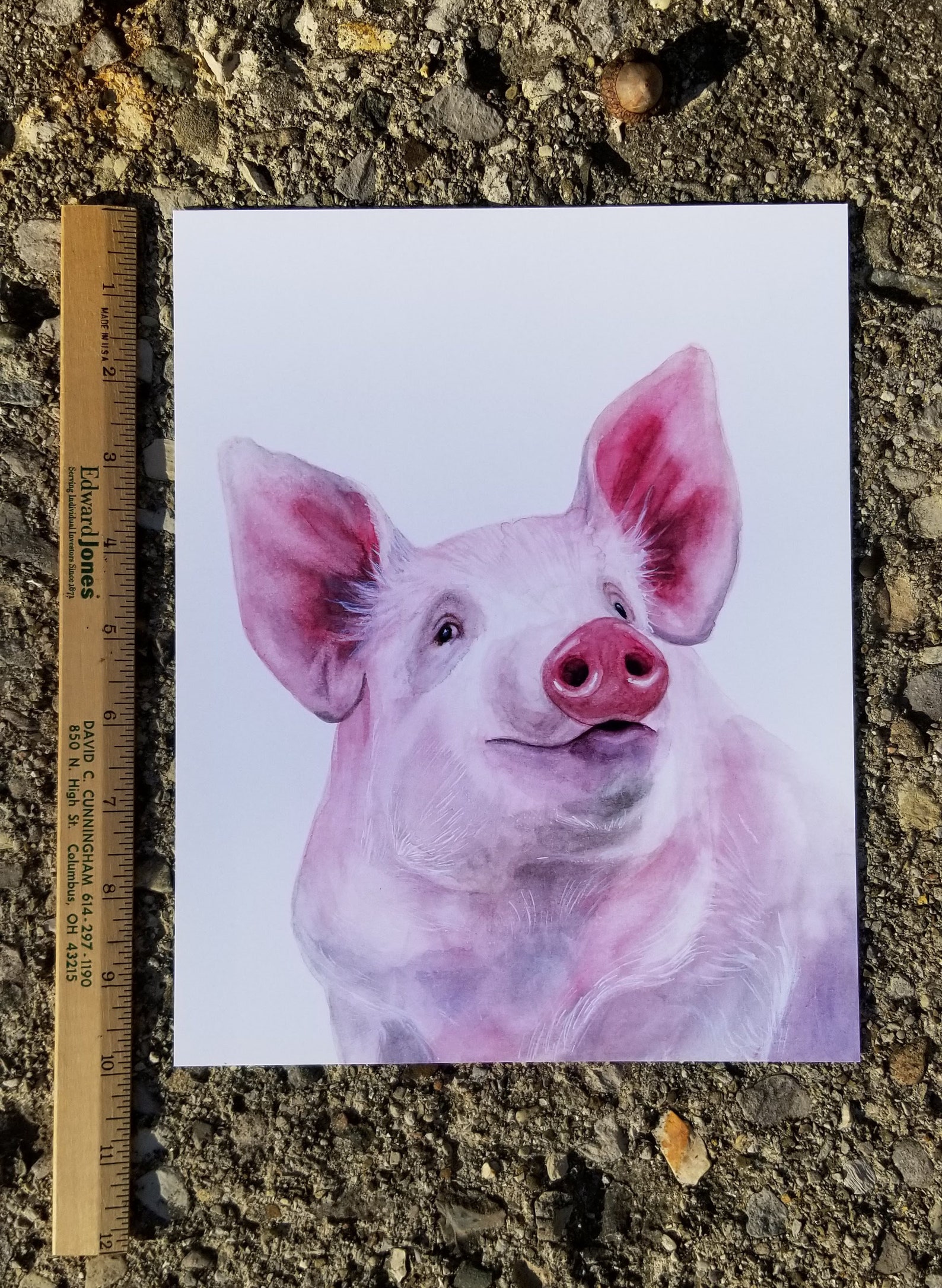 Pig Watercolor Portrait Print - Etsy Hong Kong