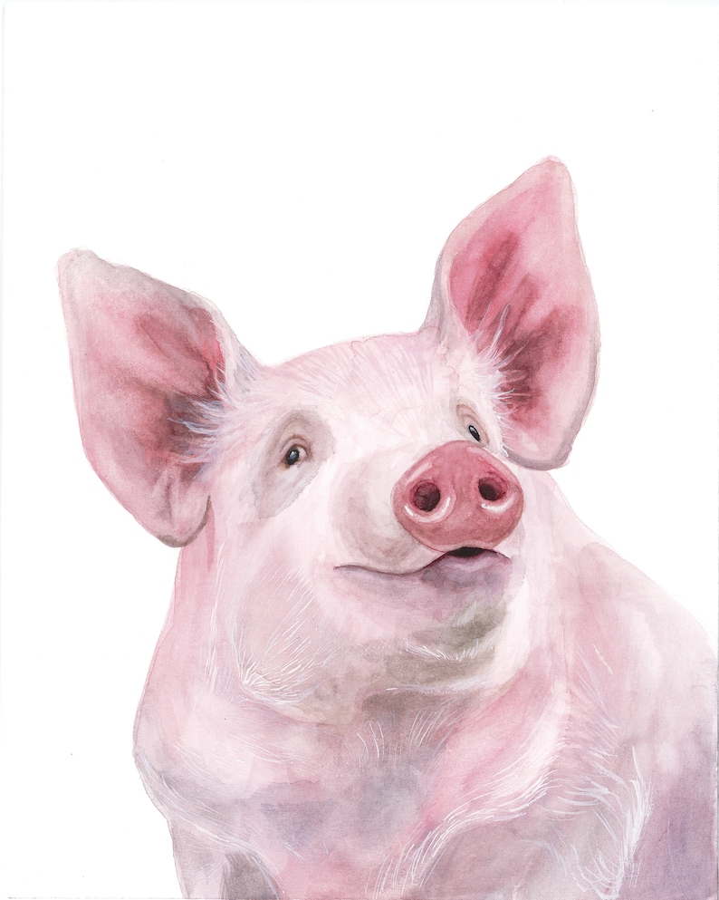 Pig Watercolor Portrait Print - 11x14 - Etsy