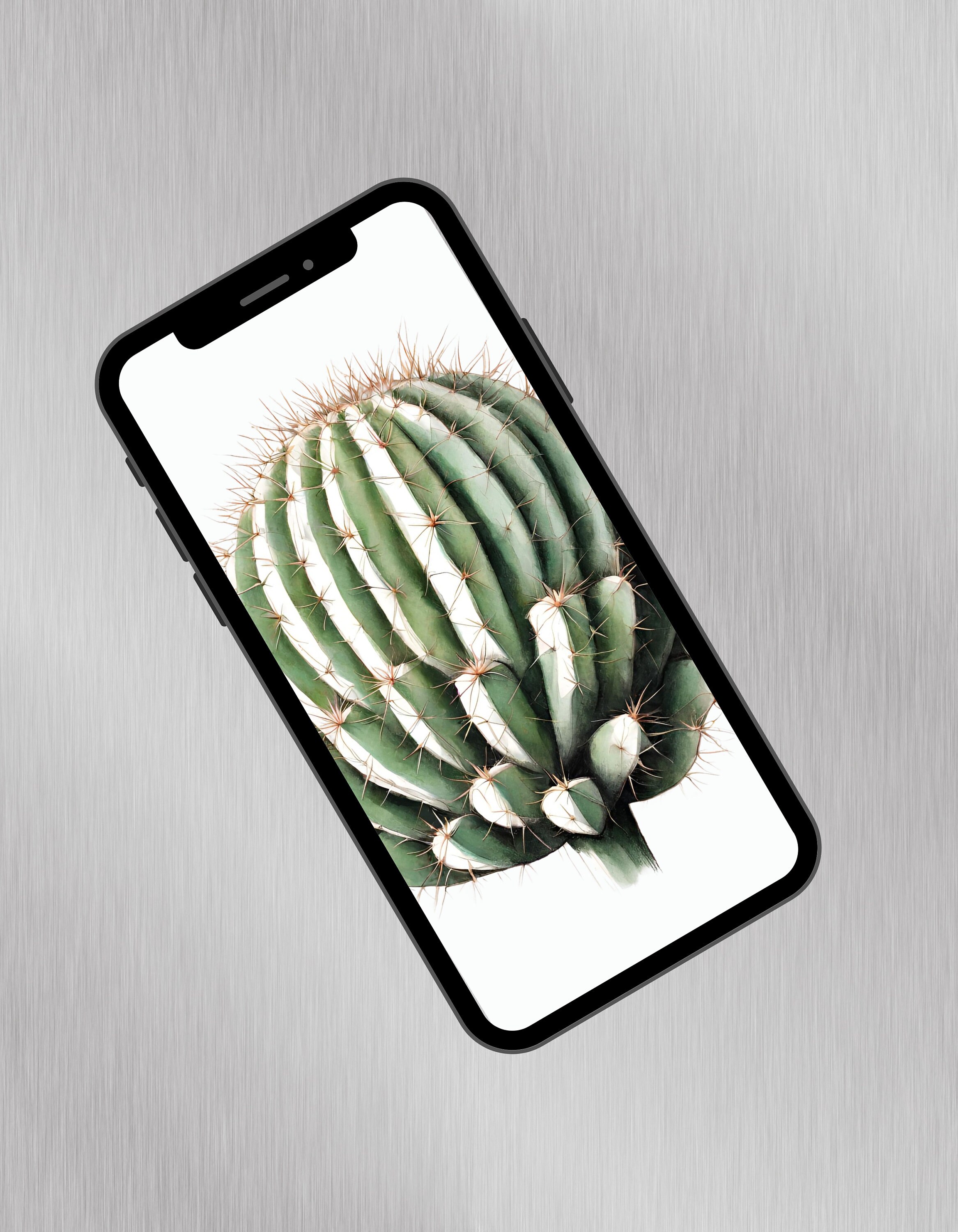 Cactus Artwork - Digital Download, Botanical, Cacti - Etsy