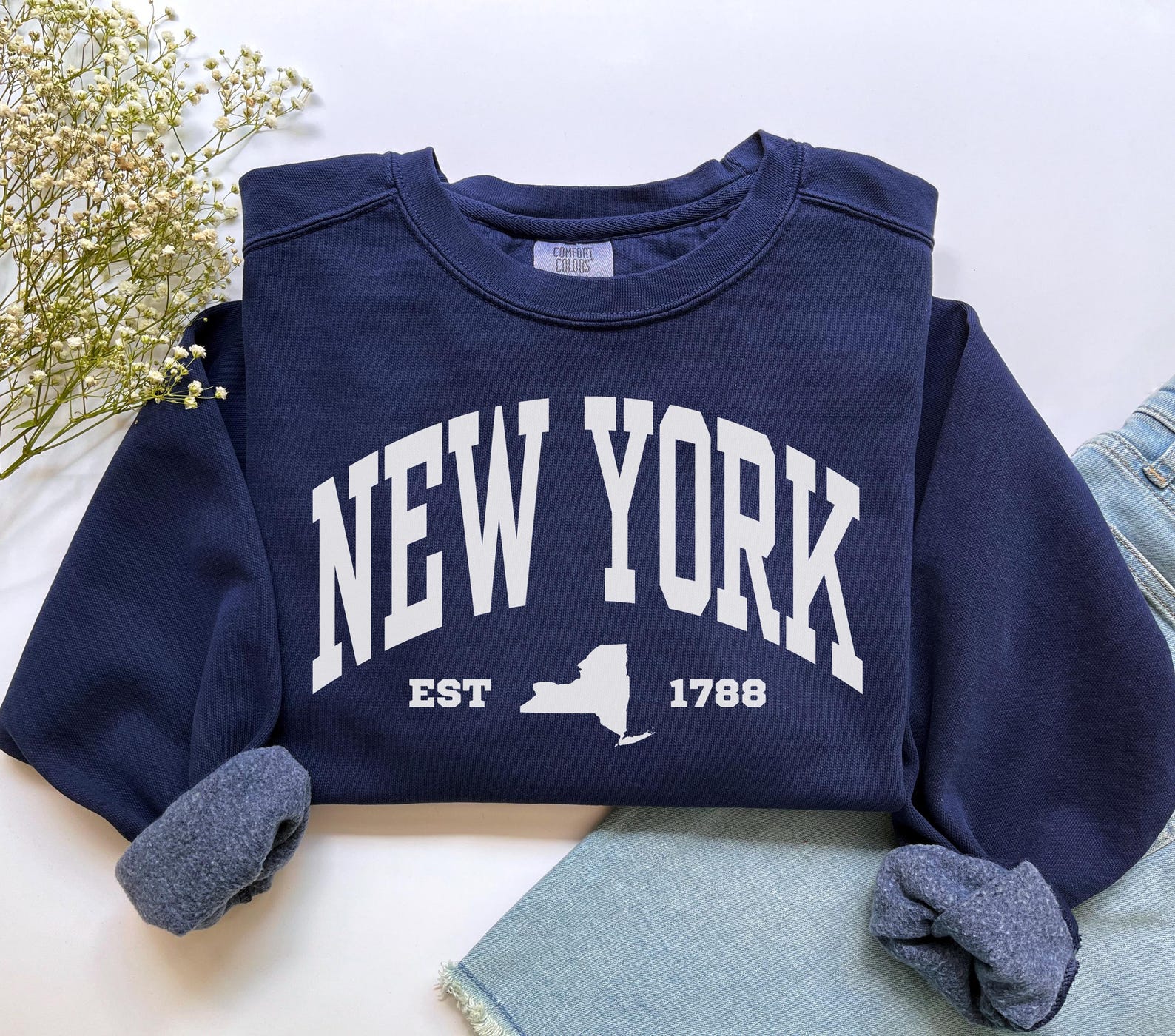 New York Sweatshirt, Comfort Colors New York State Shirt, New York ...