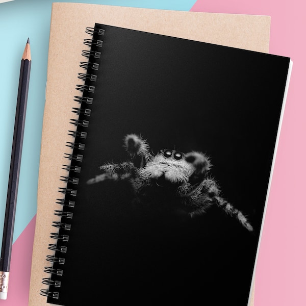 Spider Notebook - Etsy