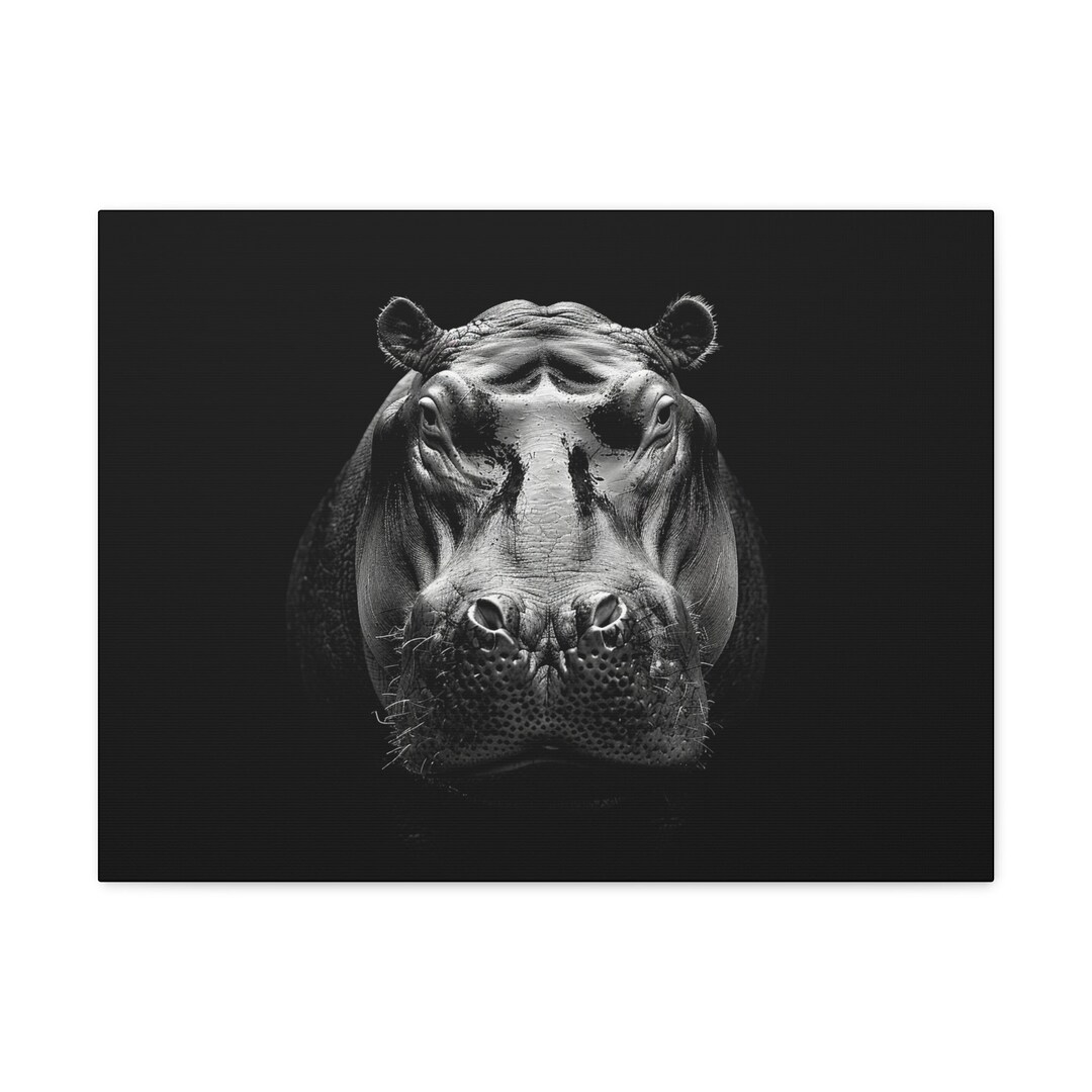 Hippo Canvas Wall Art - Etsy