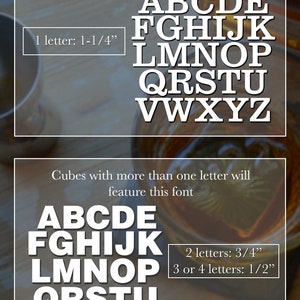 Custom Ice Mold, Letter Ice Cubes, Monogram Ice Mold, Personalized ...