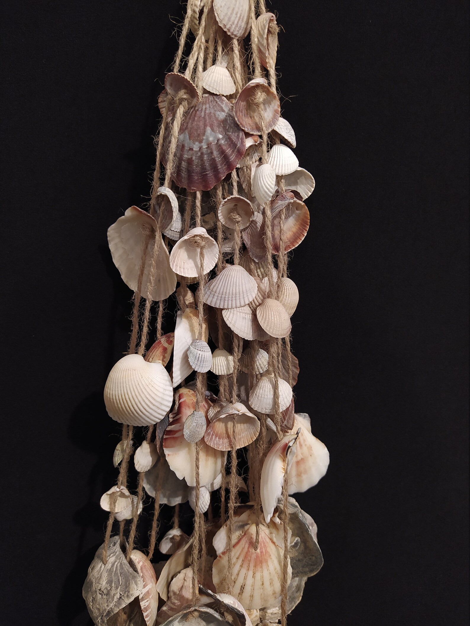 Seashells Hanging Beach Decor Sea Shell Art Ocean Vibes | Etsy