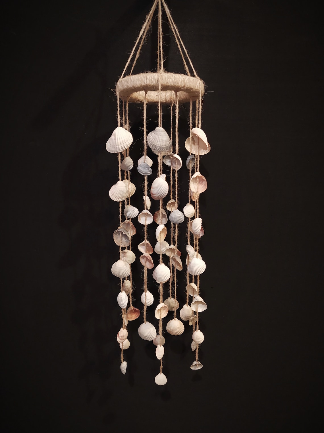 Seashells Wall Hanging Beach Decor Farmhouse Decor Beach - Etsy