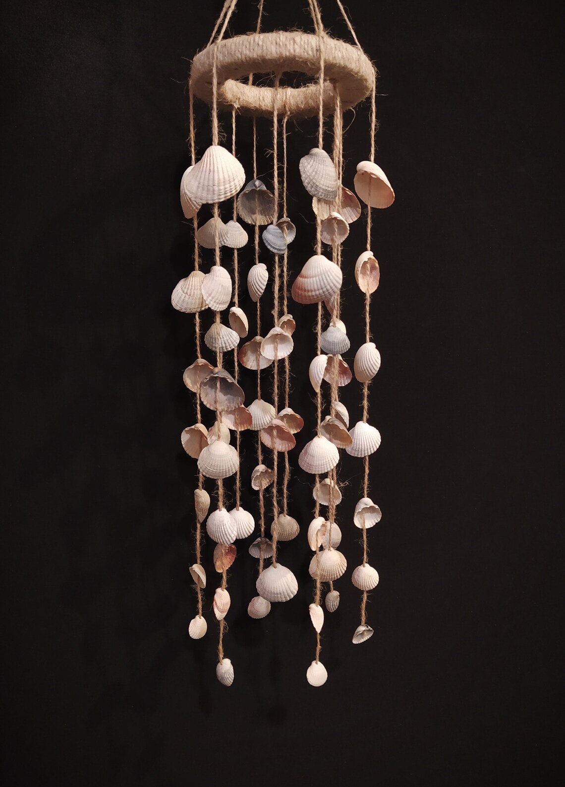 Seashells Wall Hanging Beach Decor Farmhouse Decor Beach - Etsy