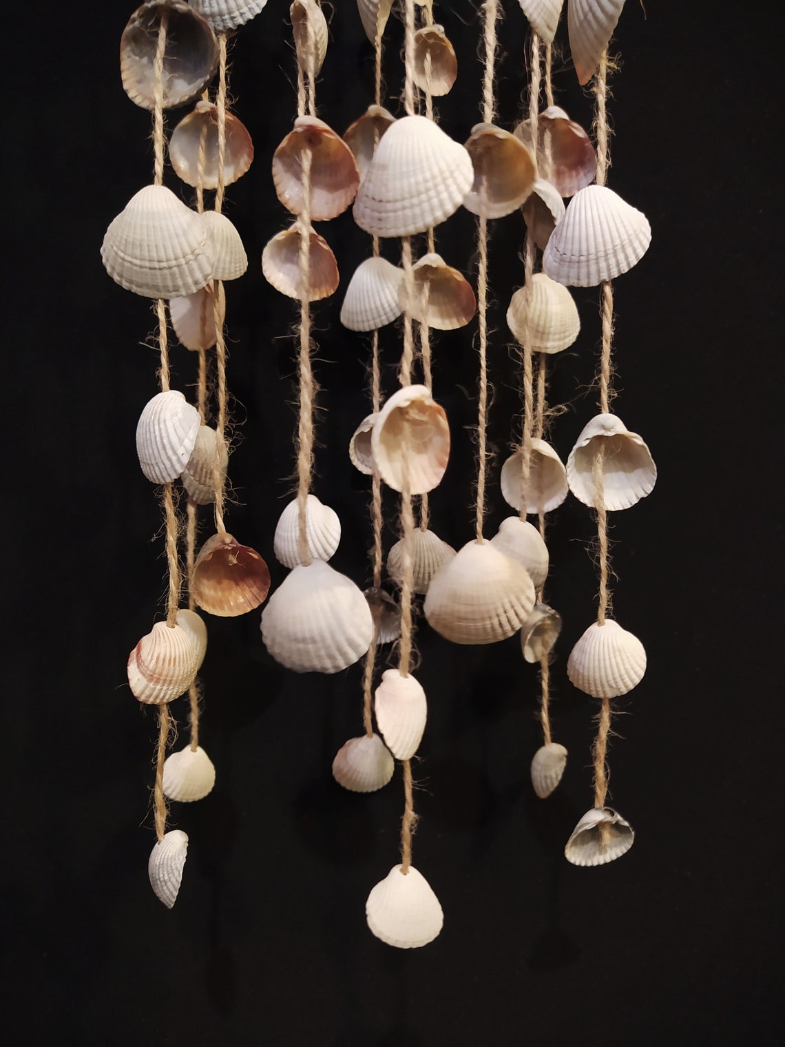 Seashells Wall Hanging Beach Decor Farmhouse Decor Beach - Etsy