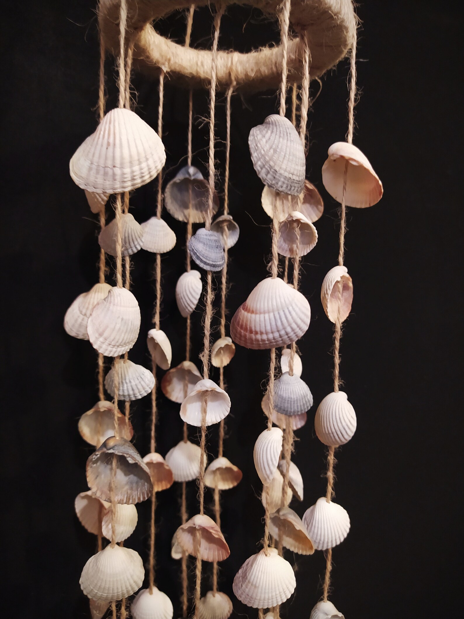 Seashells Wall Hanging, Beach Decor, Farmhouse Decor, Beach House Decor ...