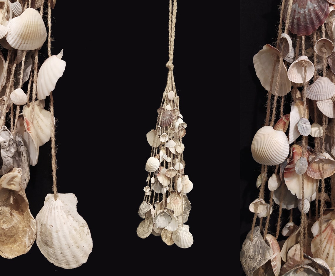 Seashells Hanging Beach Decor Sea Shell Art Ocean Vibes | Etsy