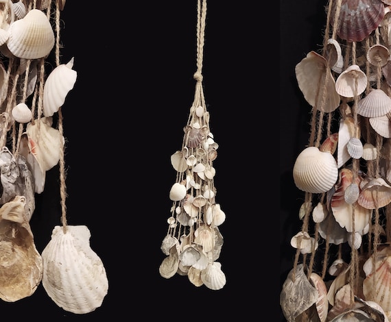 Seashells Hanging Beach Decor Sea Shell Art Ocean Vibes | Etsy