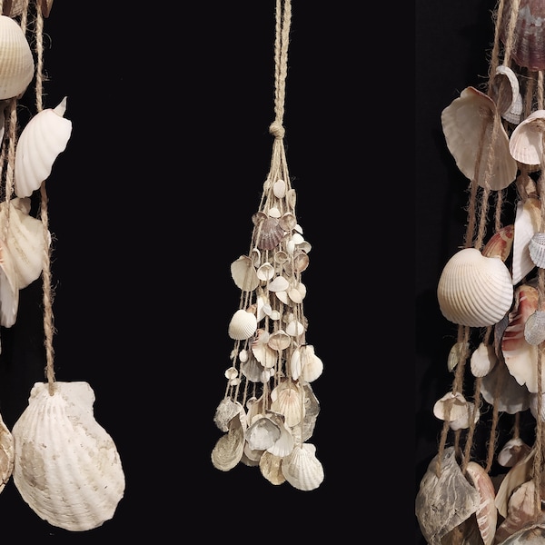 Seashell Hanging - Etsy
