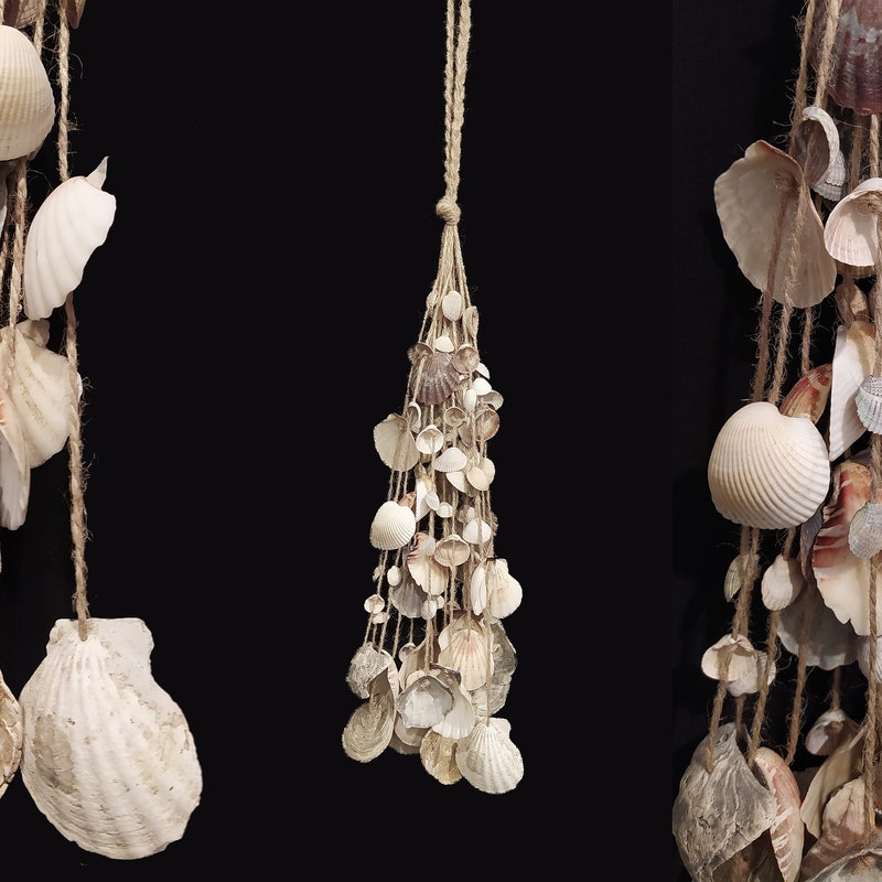 Seashell Hanging - Etsy