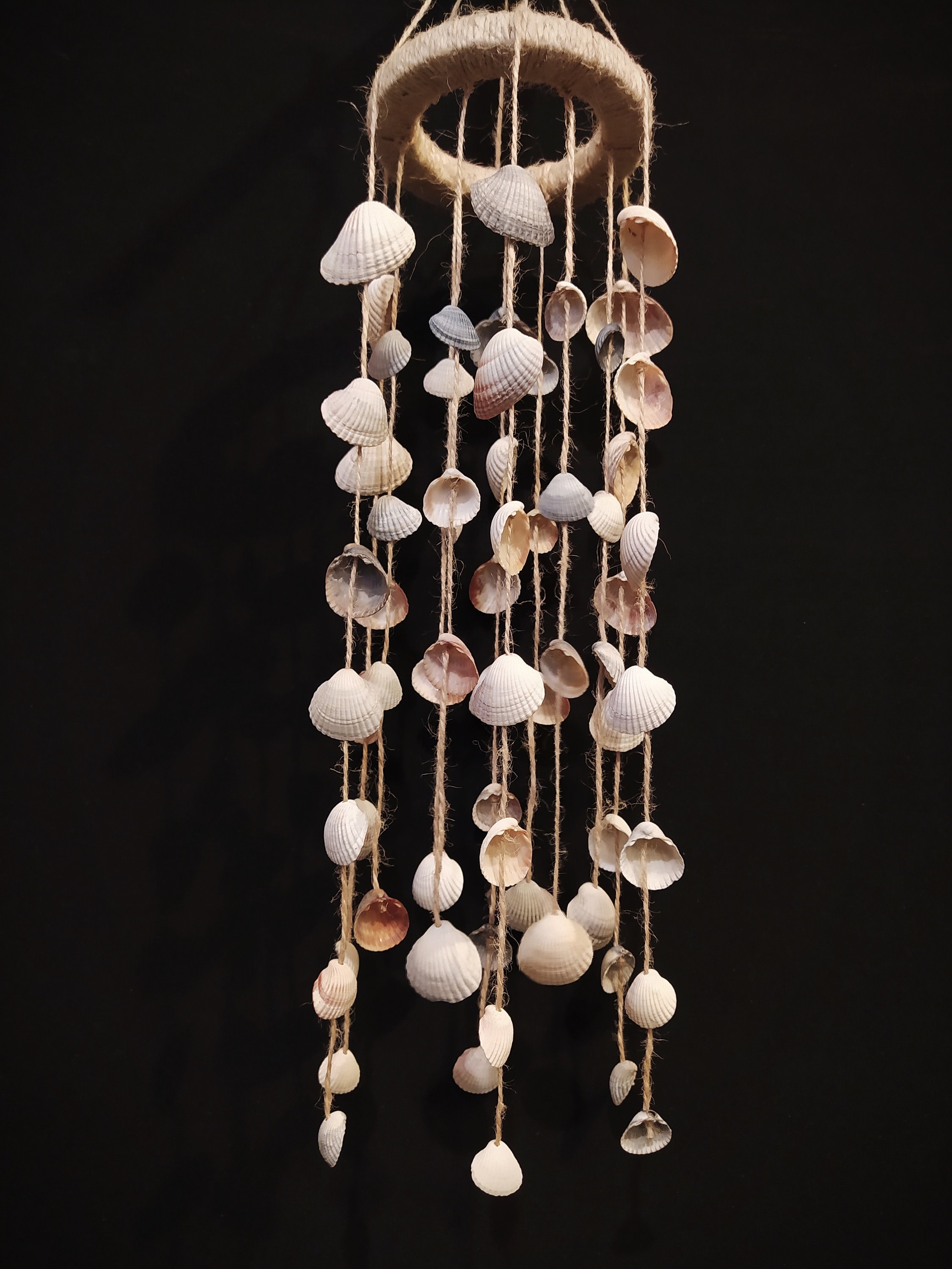 Seashells Wall Hanging Beach Decor Farmhouse Decor Beach - Etsy