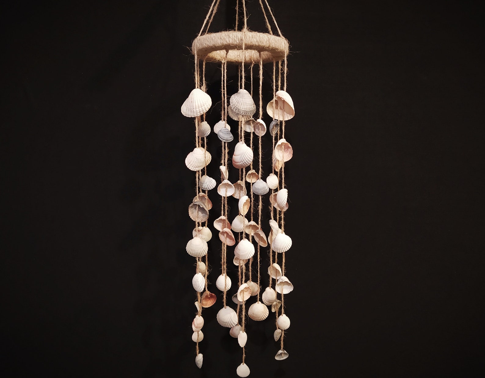 Seashells Wall Hanging Beach Decor Farmhouse Decor Beach - Etsy