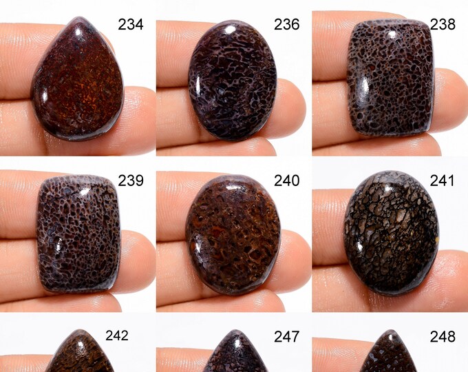 1 Lb. Dinosaur Bone Slab Gem Bone Agatized Silicated Dinosaur Bone Gem ...