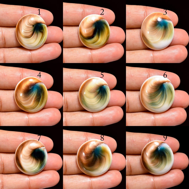 Shiva Eye - Etsy